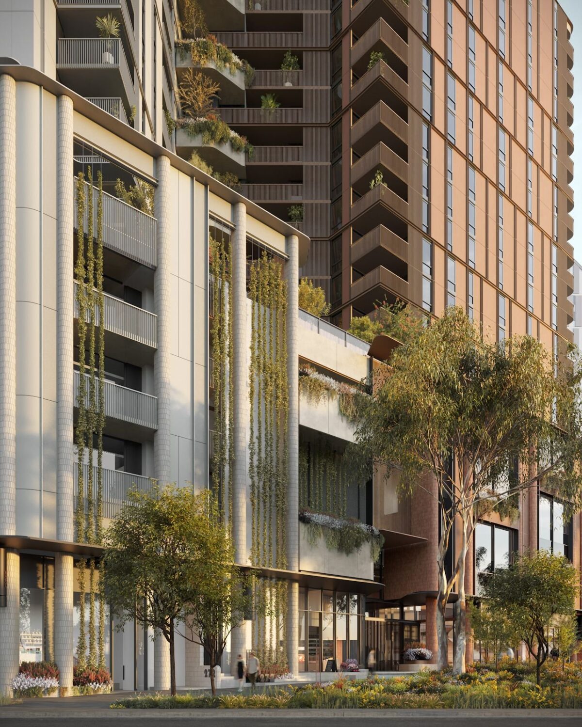 Construction Commencing: The Canopy - Crema Constructions