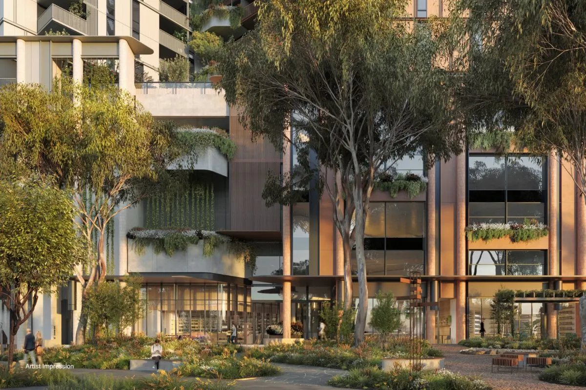 The Canopy - Crema Constructions